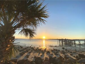 Relax and Explore Cedar Key Beaches for a Day Trip or Getaway