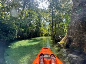 23 Fun Things to do this Memorial Day Weekend in Orlando