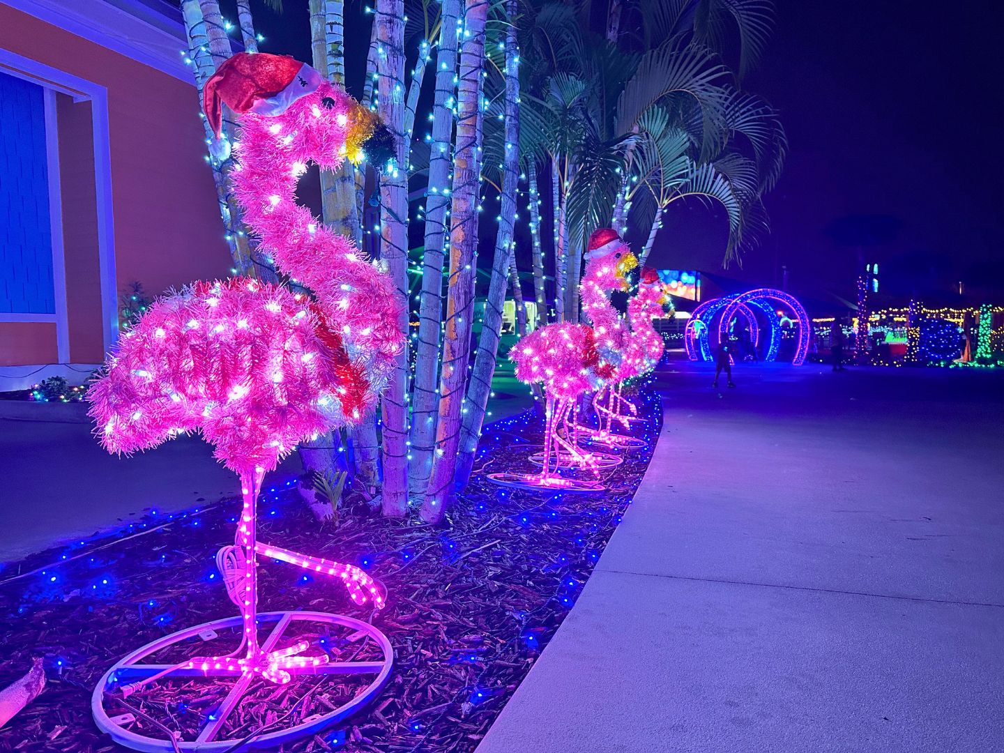 Where to Find Orlando's Best Holiday and Christmas Lights 2023