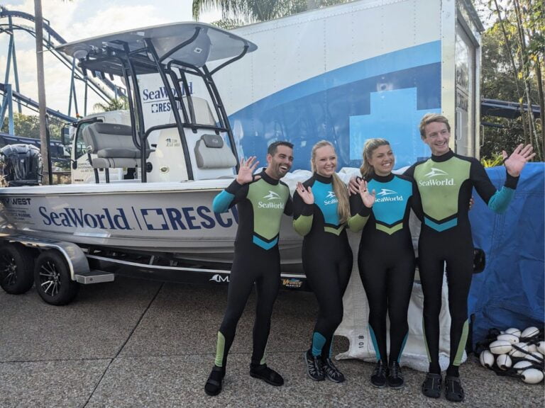 Celebrate Memorial Day with SeaWorld Orlando: Discounts Galore and Free ...