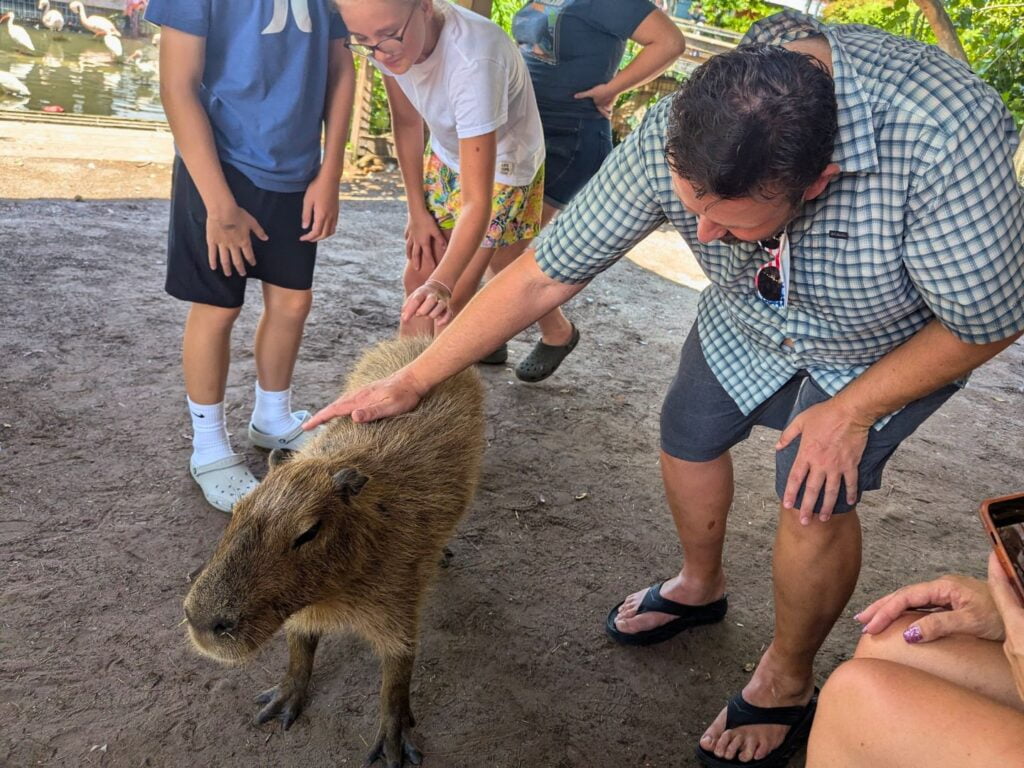 Impress for Less with the Capybara Encounter at Gatorland