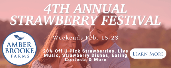 12 Bars at Disney Springs Every Couple MUST Visit