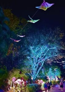 5 Reasons ILLUMINATE Aquatica Belongs on Your Orlando Holiday Lights List